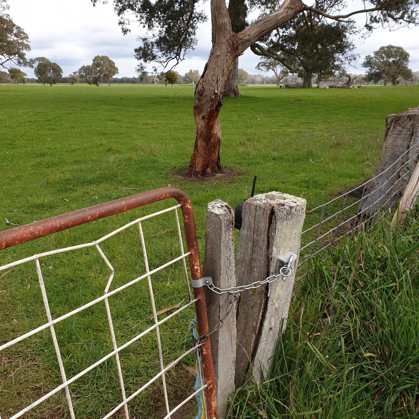 Farm Gate Sensor – Wireless Farm Gate Monitoring System | Farmo