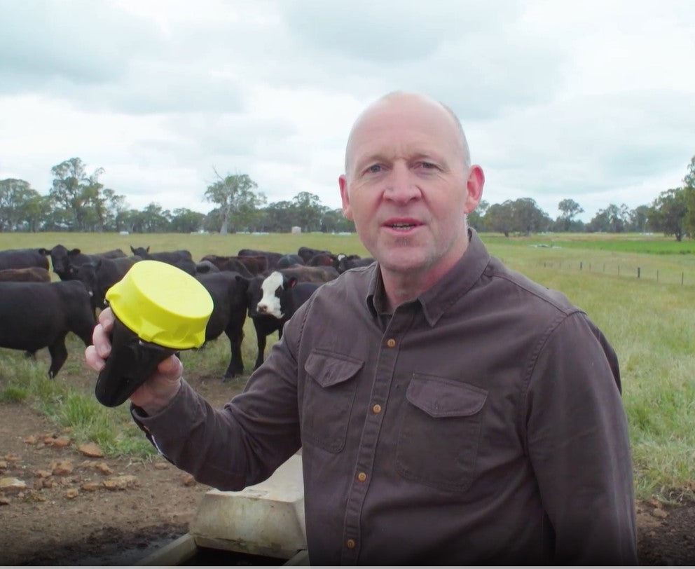 Farmo – IoT solutions for agtech, smart cities and remote monitoring